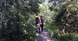 Trondheim Walks: Bymarka - Life in Norway