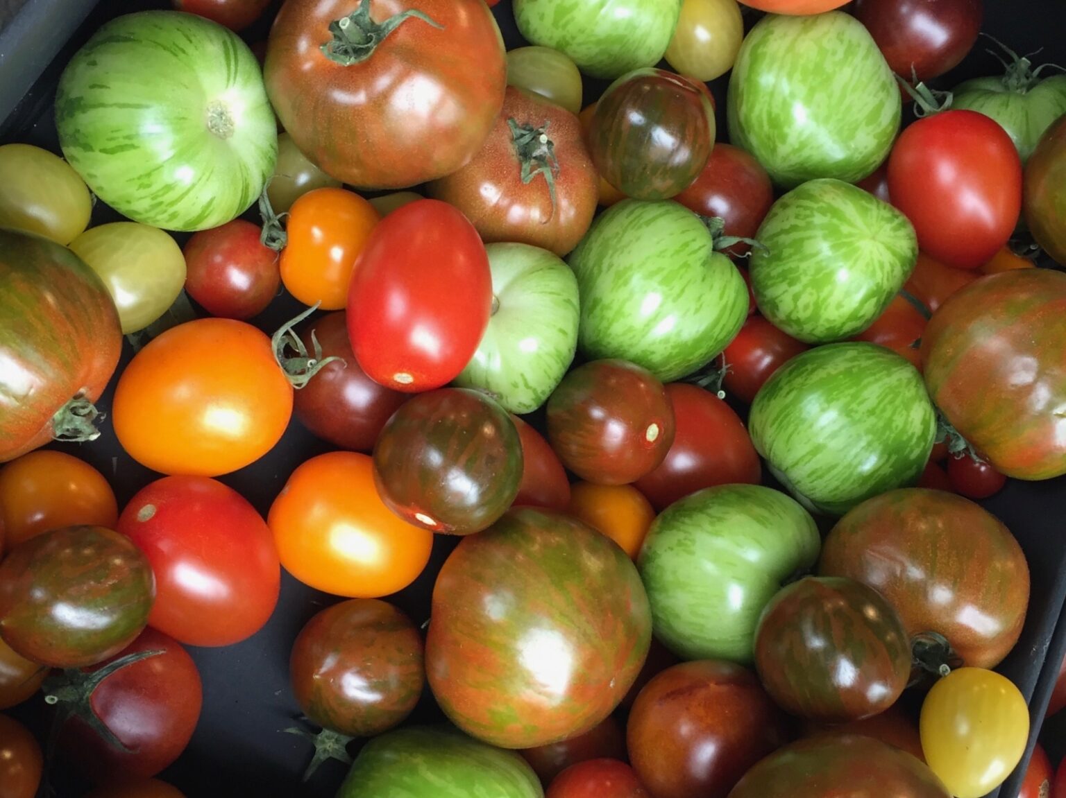 Summer Delights: Moods & Foods