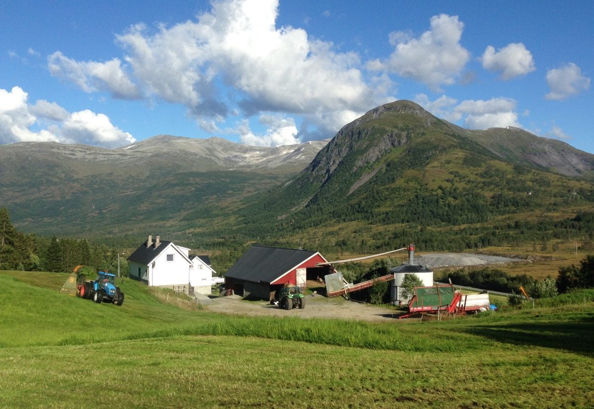 Expat Interview: Running a Farm in Norway