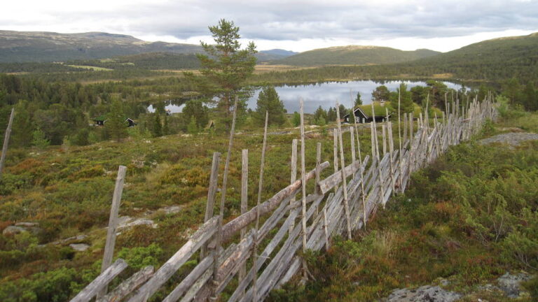 A Quick Guide to Oppland: Life in Innlandet