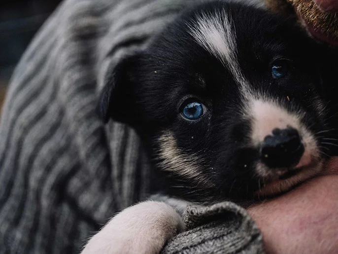 Norway's Most Unique Hotels - Life in Norway