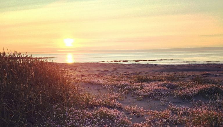 Berlevåg: An Unexpected Tour of Finnmark - Life in Norway