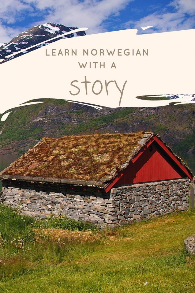 Funny Expressions and Idioms in Norwegian - Life in Norway