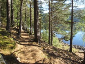 Fagernes: The Jewel in the Valdres Valley - Life in Norway