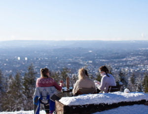 Hiking in Oslo: The Best Trails Around Norway's Capital - Life in Norway