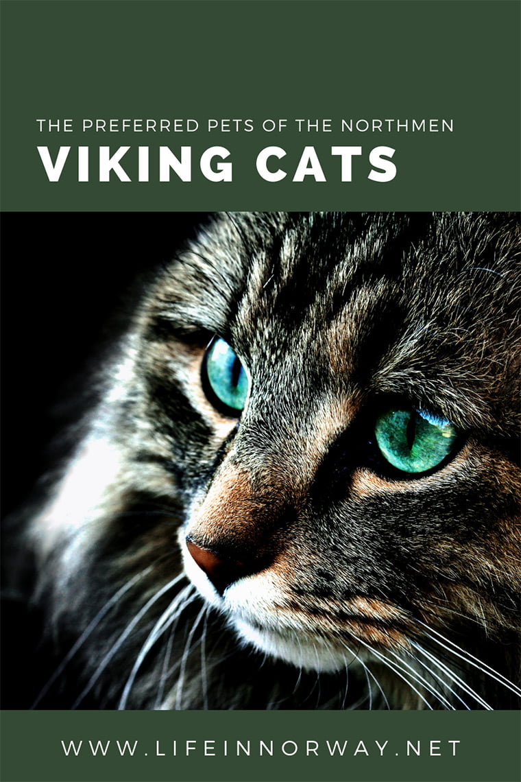 Viking Cats: The Preferred Pets of the Northmen - Life in Norway