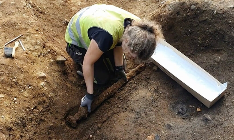 Viking Blog: The History, Culture & Lifestyle of the Viking Age