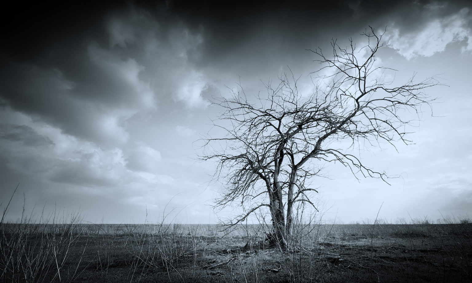 The Story of the Black Death in Norway - Life in Norway