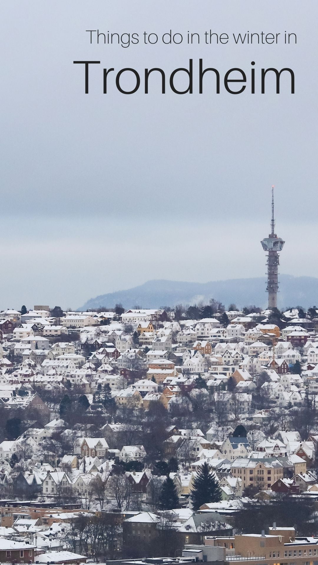 Trondheim in the Winter: Things To Do & How To Prepare - Life in Norway