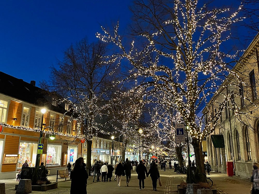 Trondheim in the Winter: Things To Do & How To Prepare - Life in Norway