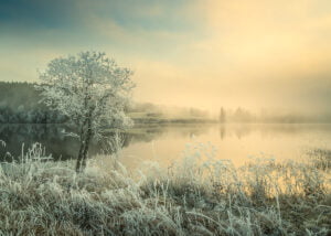 Trondheim in the Winter: Things To Do & How To Prepare - Life in Norway