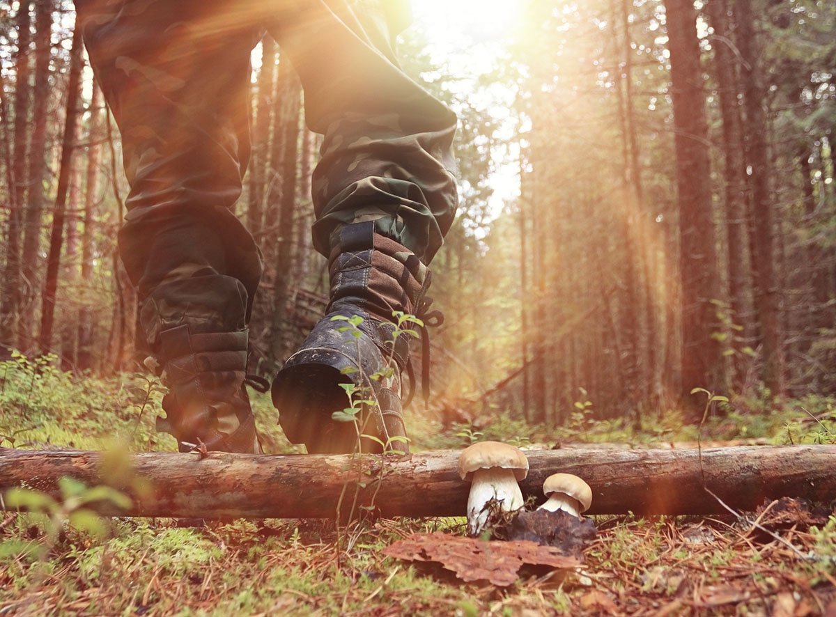 All About Hunting in Norway - Life in Norway