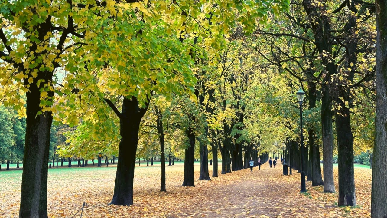 In Photos: Oslo’s Vigeland Park in Autumn - Life in Norway