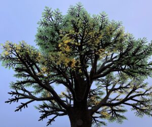 In Pictures: The Oslo Tree - Life in Norway