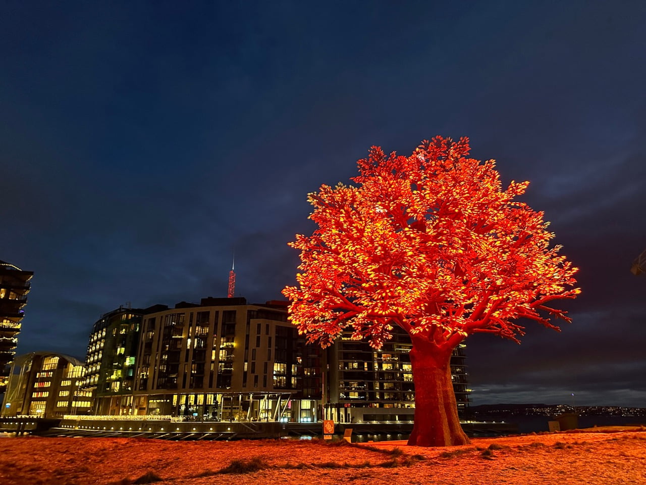 In Pictures: The Oslo Tree - Life in Norway