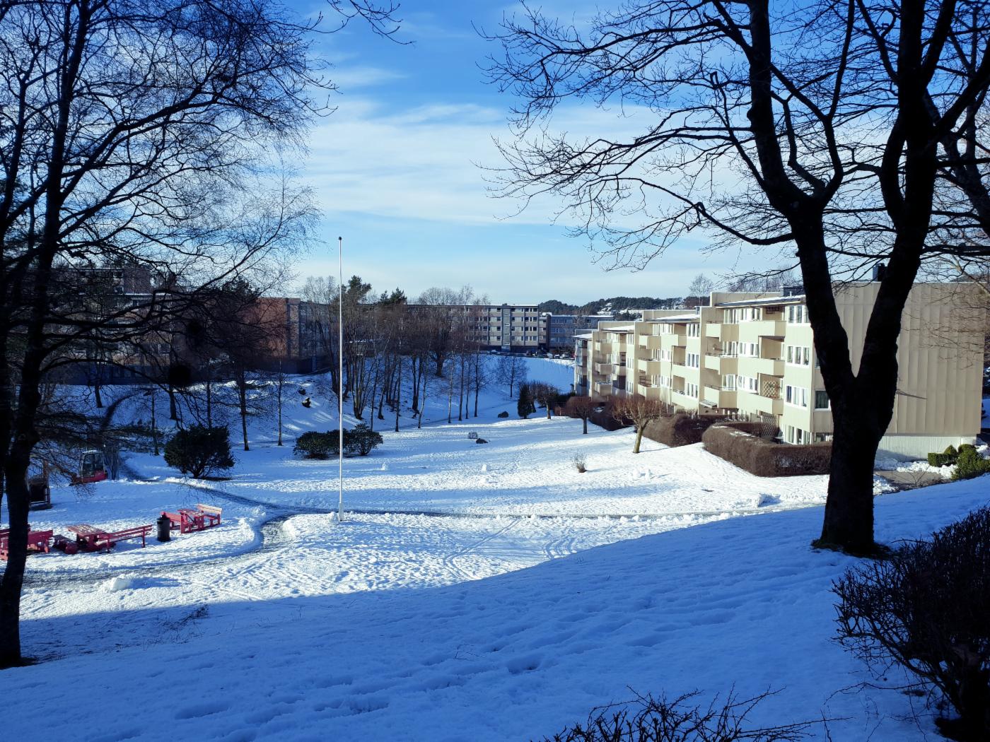 Bergen, Norway: A Complete Guide to Norway’s Second City - Life in Norway