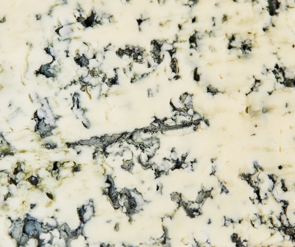 Norway’s ‘Nidelven Blå’ Crowned World’s Best Cheese - Life in Norway