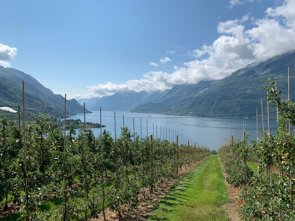 Popular Food Festivals in Norway - Life in Norway
