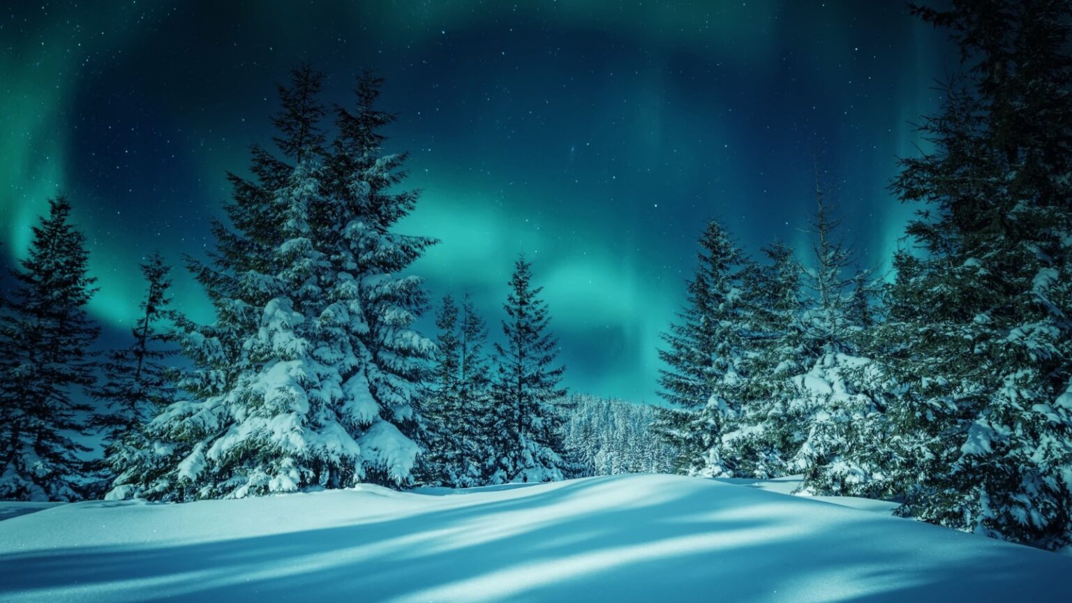 David Nikel, Author at Life in Norway