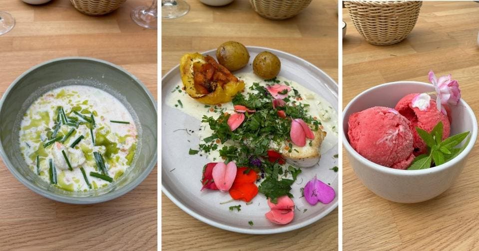 Flor & Fjære: See This Sensational Tropical Island in Stavanger, Norway ...