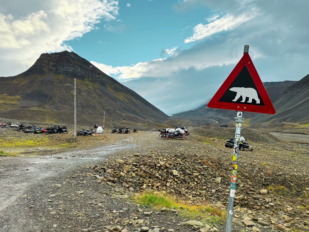 Svalbard in the Summer: 10 Things To Do in Longyearbyen & Beyond - Life ...