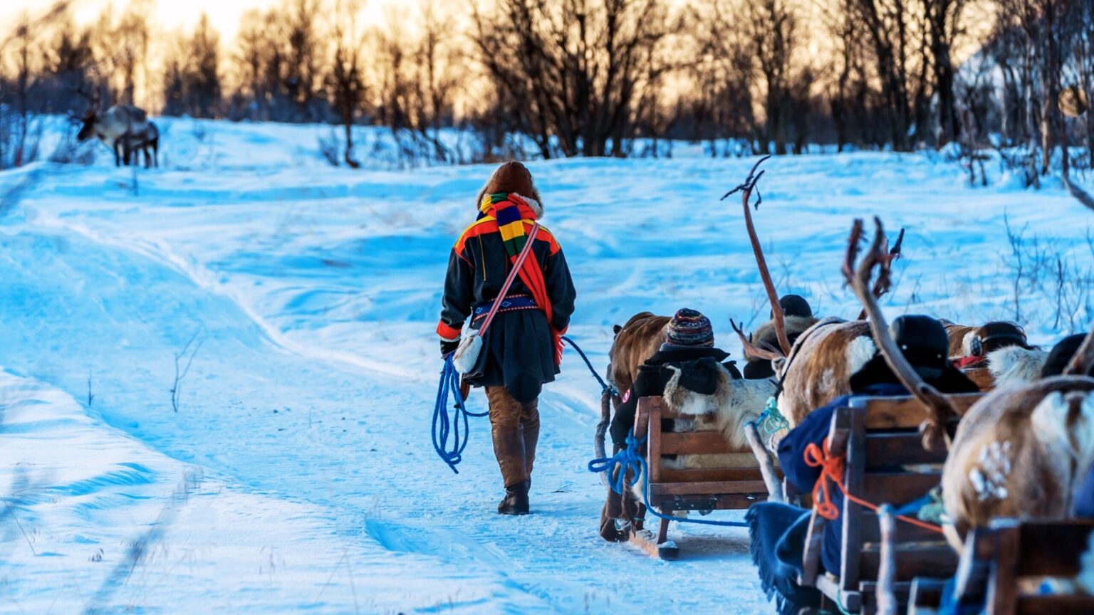 Norway Issues Formal Apology to Ethnic Minorities for ‘Norwegianisation ...