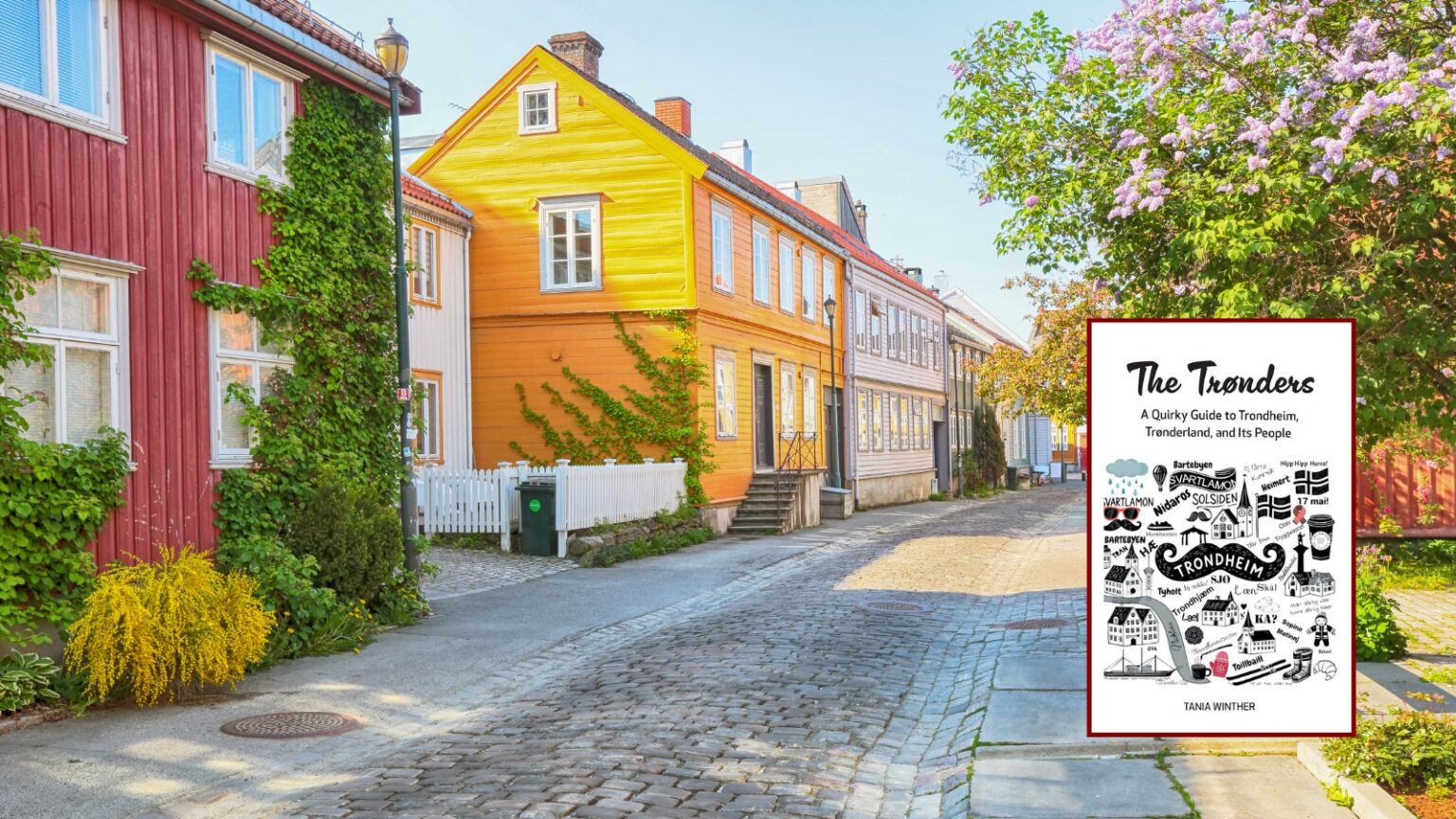 Podcast 88: Trondheim, Trøndelag & Third Culture Kids - Life in Norway Show